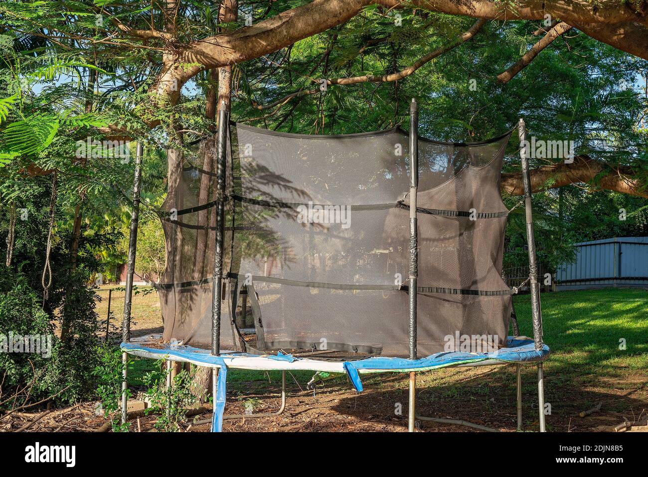 A dilapidated trampoline under the spreading branches of a tree, ready ...