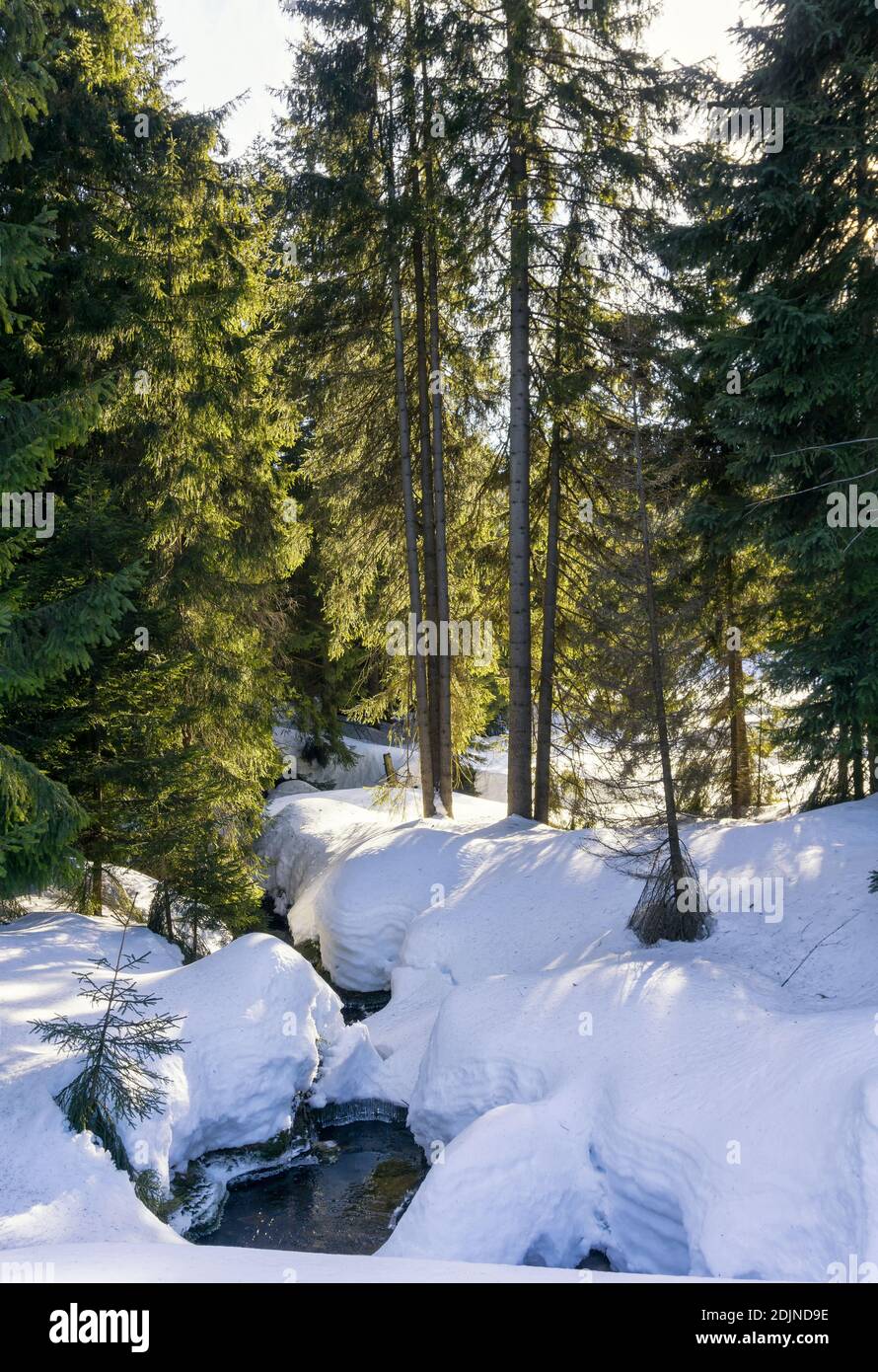 Stream flowing through mountains hi-res stock photography and images ...