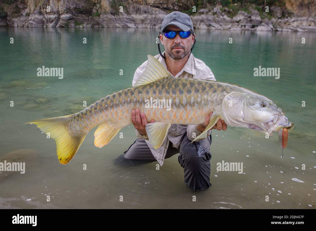 Mahseer fish hi-res stock photography and images - Alamy Mahseer fish hi-res stock photography and images - Alamy