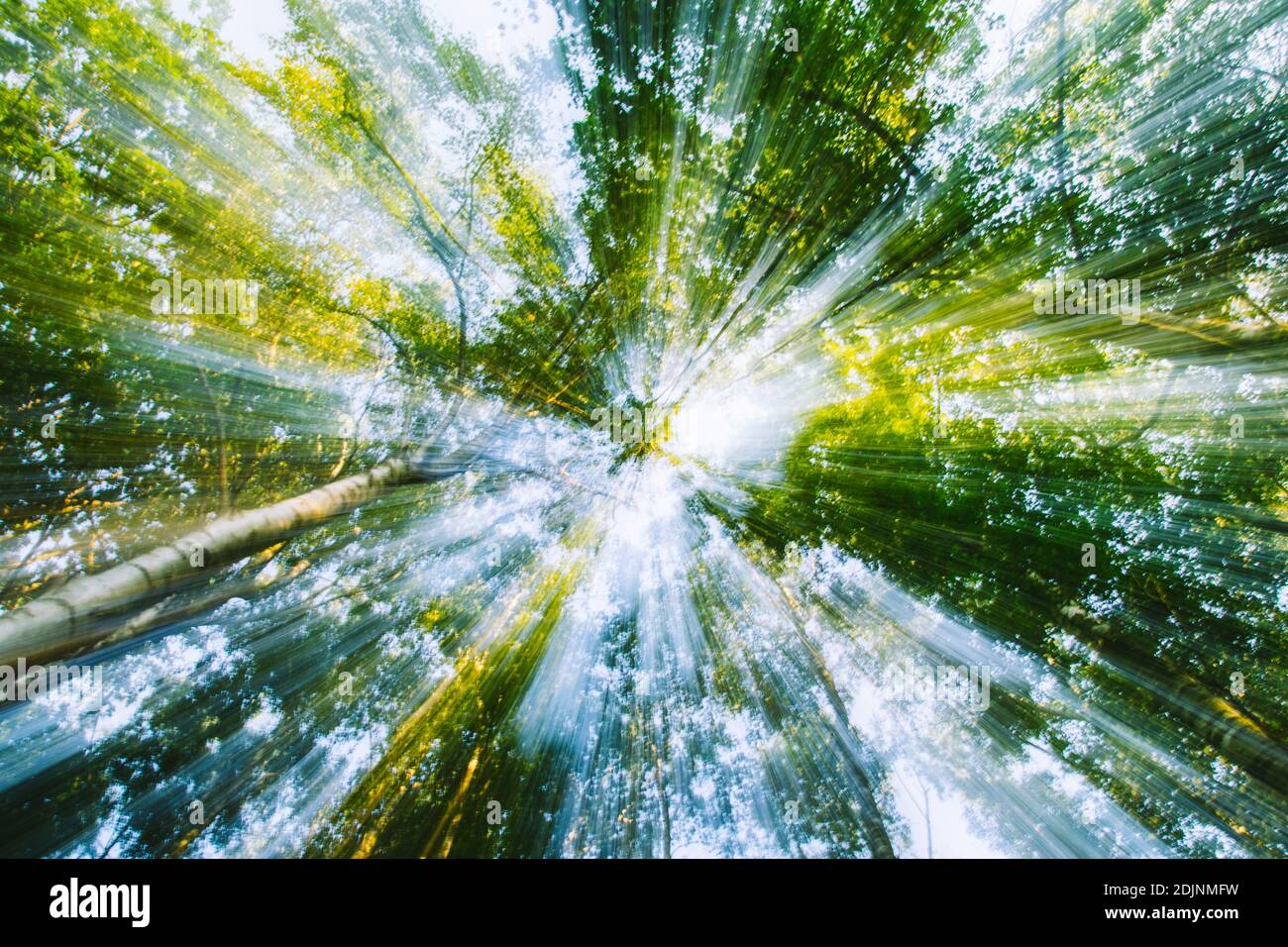 Zooming photography hi-res stock photography and images - Alamy