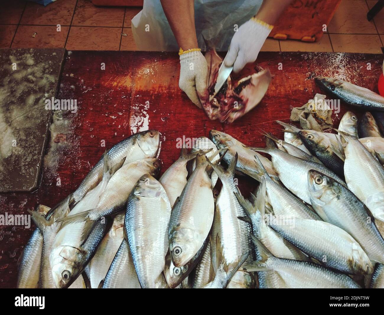 Toli toli hi-res stock photography and images - Alamy