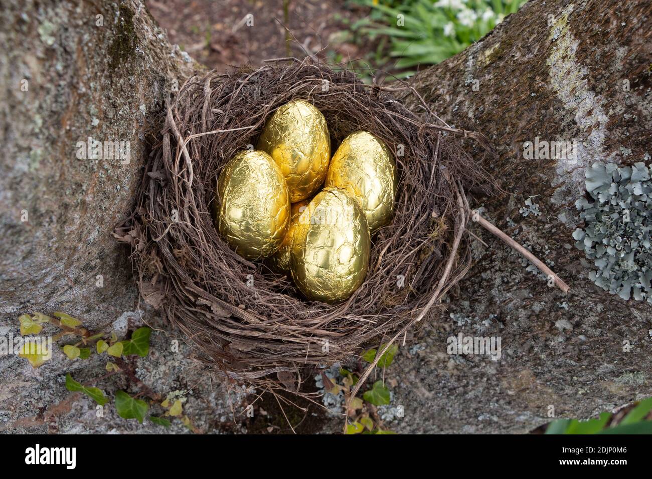 Nest with chocolate eggs between the branches of a tree for Easter ...