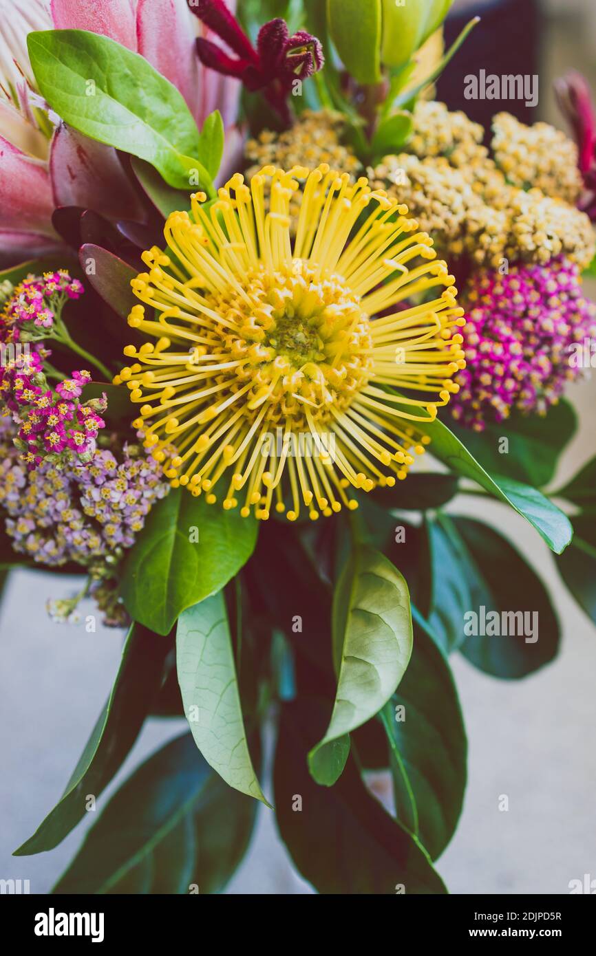bunch of native Australian flower with proteas and kangaroo paws shot ...