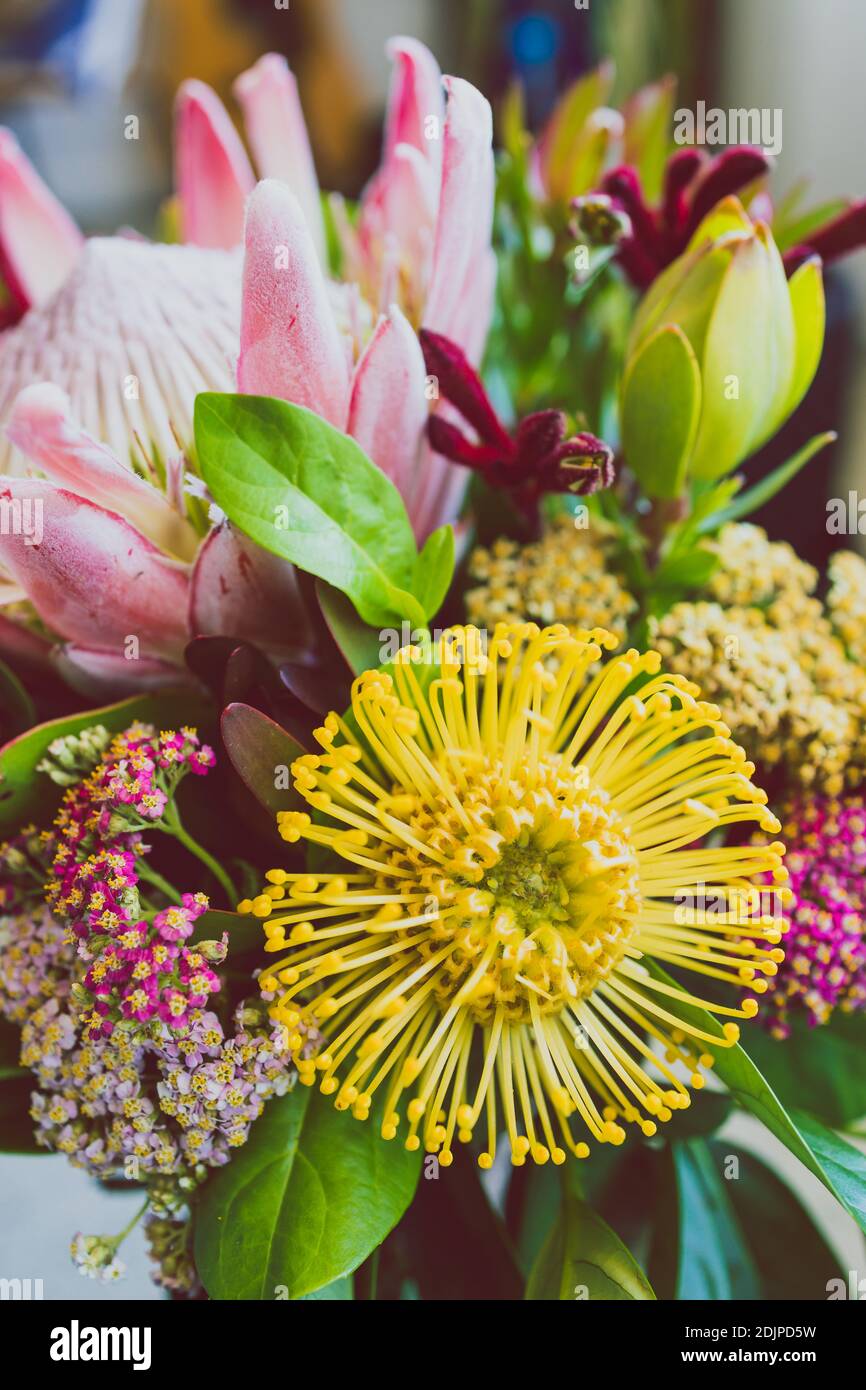 bunch of native Australian flower with proteas and kangaroo paws shot ...