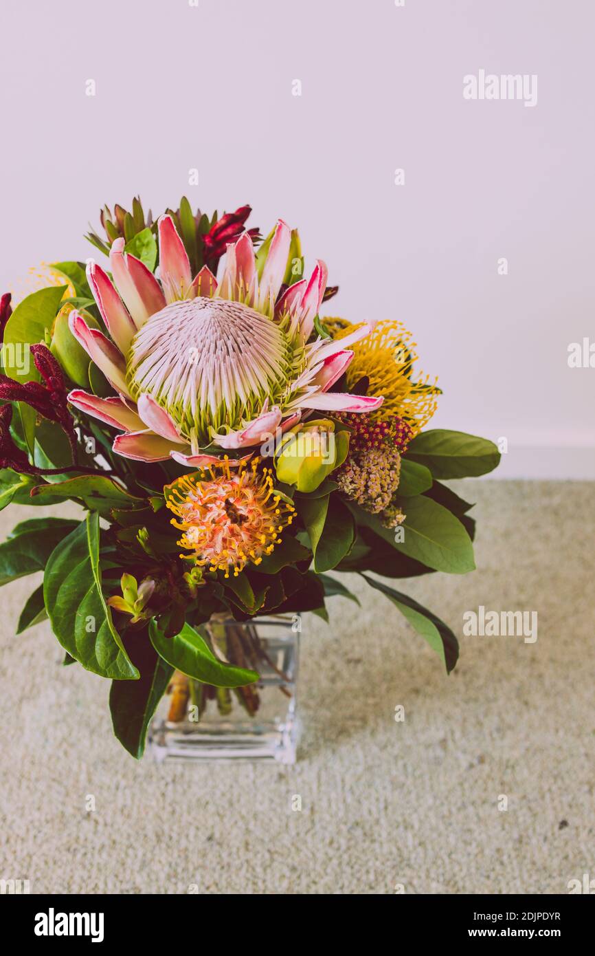 bunch of native Australian flower with proteas and kangaroo paws shot ...