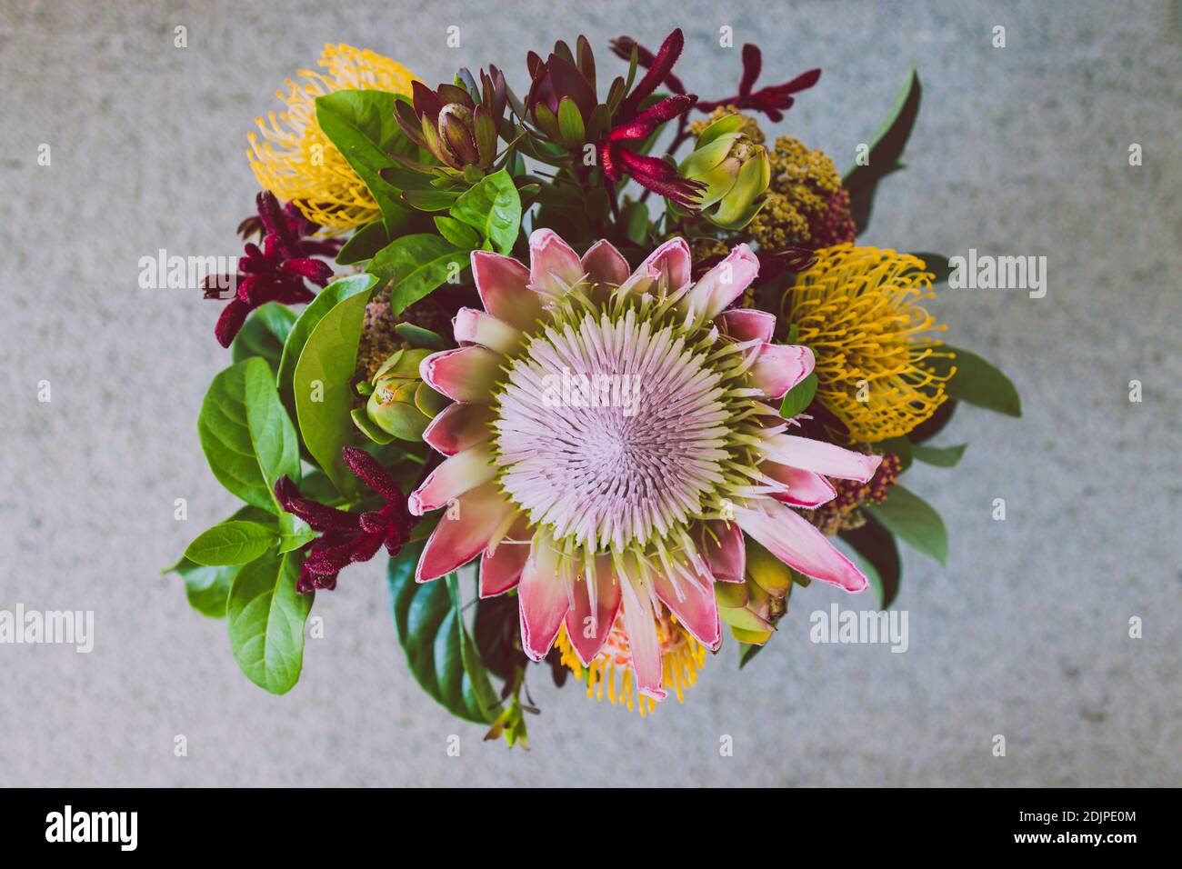 bunch of native Australian flower with proteas and kangaroo paws shot ...