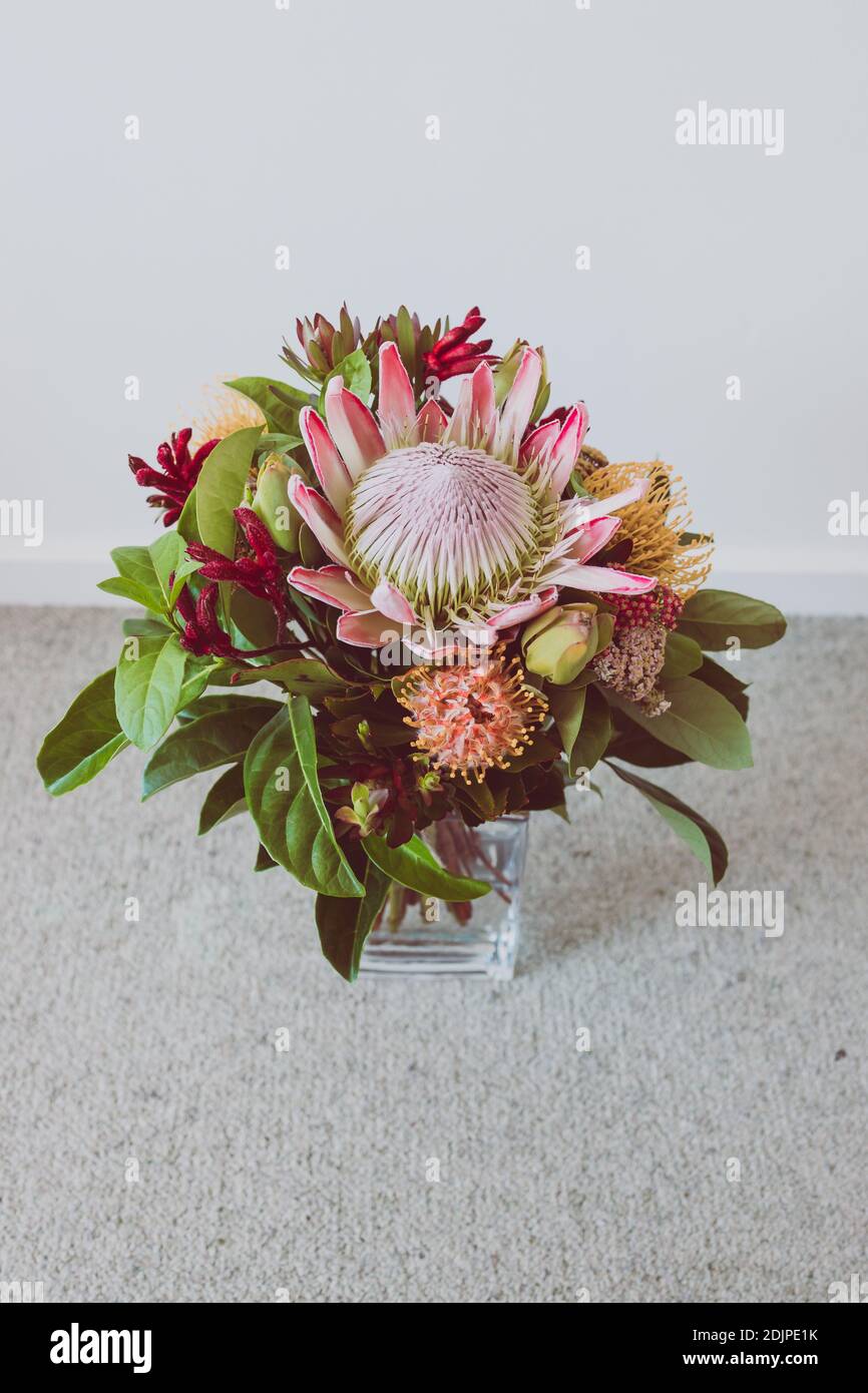 bunch of native Australian flower with proteas and kangaroo paws shot ...
