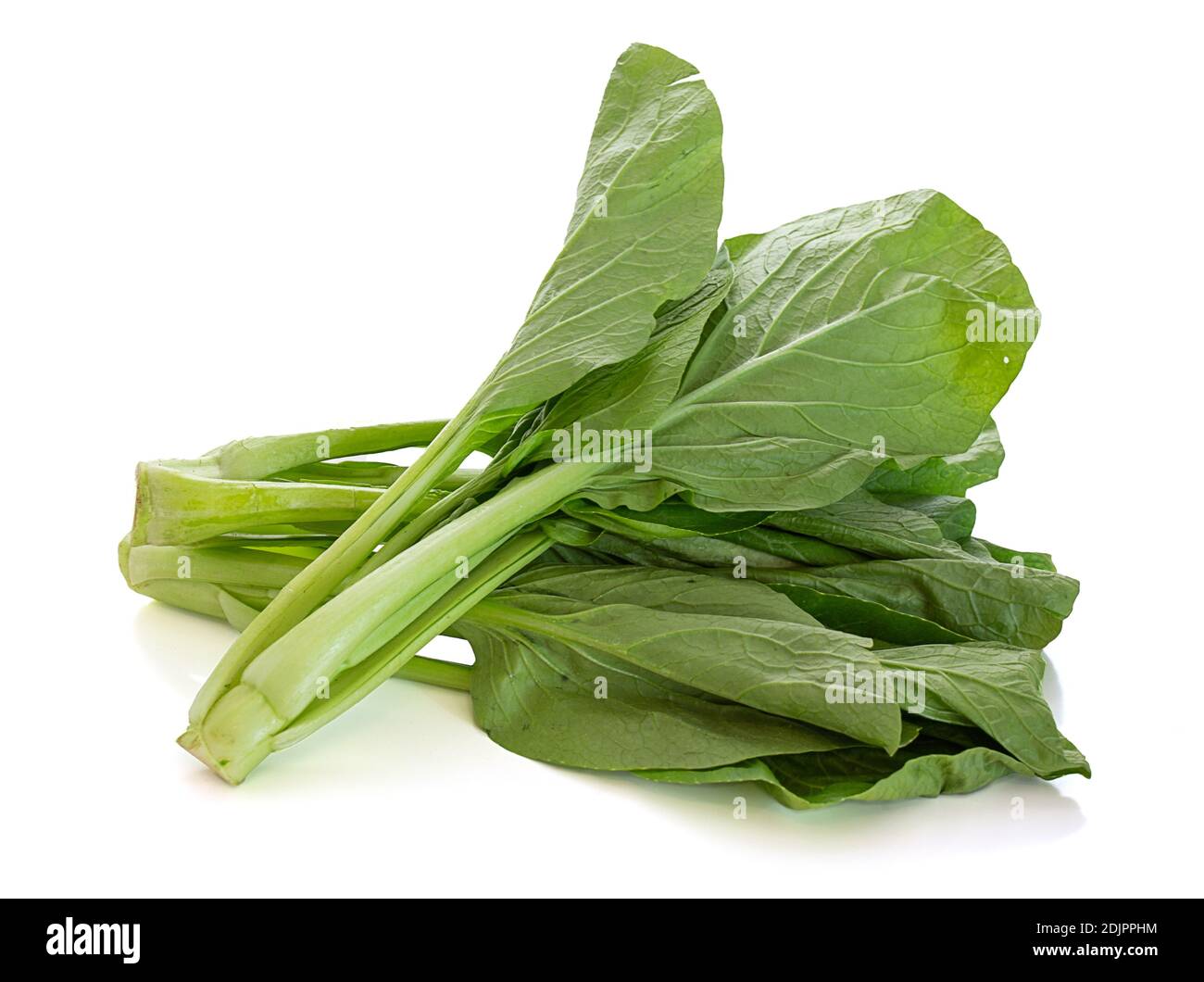 Chinese cabbage (Choi Sum), edible leaves for Creole cuisine a white ...