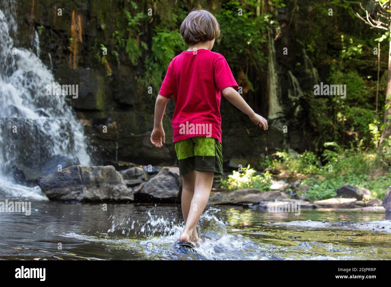 Boy Wading In Stream At Forest Stock Photo - Alamy