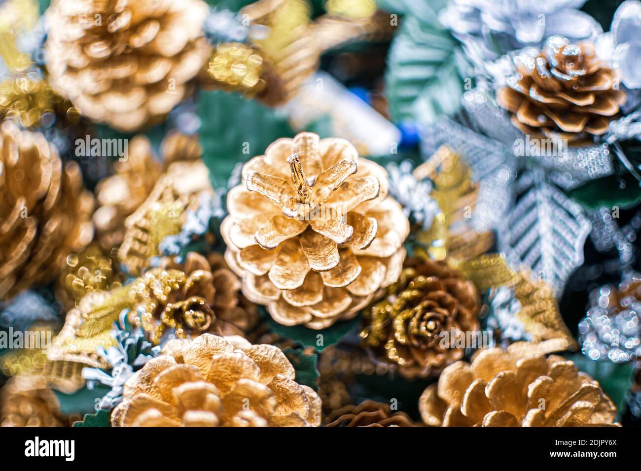 Golden pine cone hi-res stock photography and images - Alamy