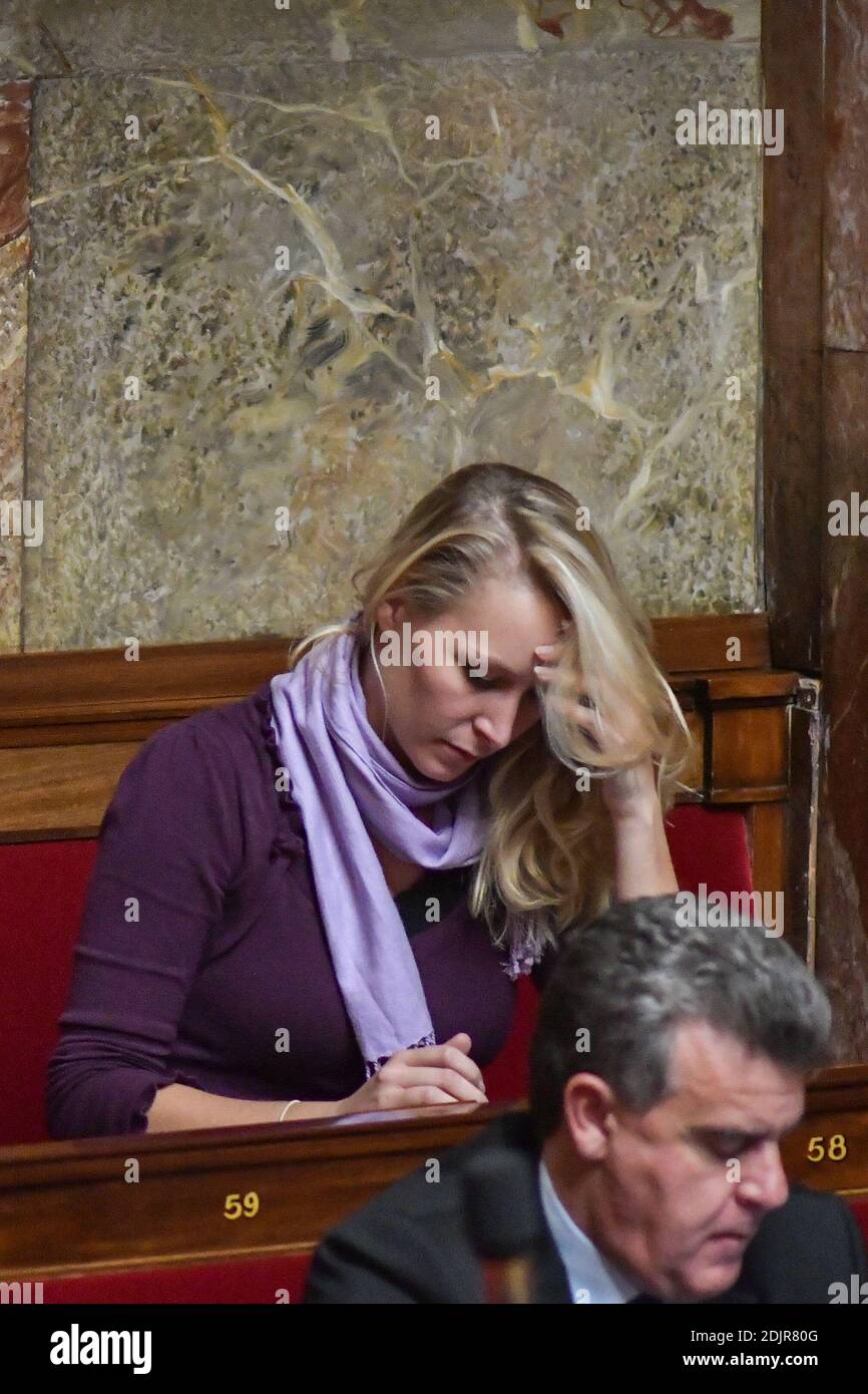 Vaucluse deputy (FN) Marion Marechal-Le Pen during a session of ...