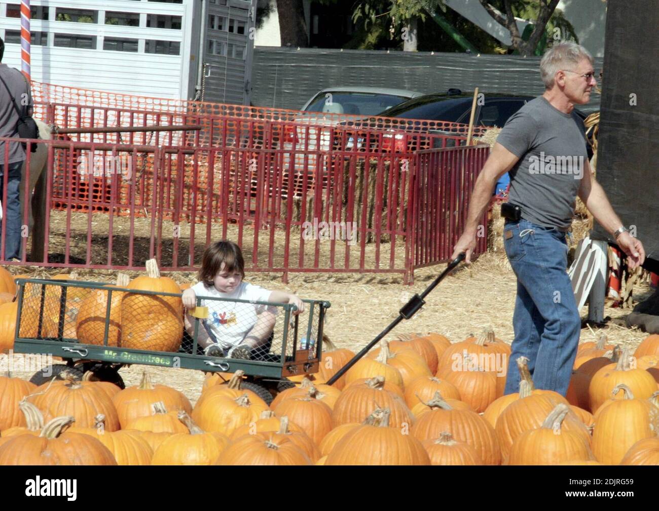 Calista Flockhart and Harrison Ford take little Liam on a pumpkin hunt ...