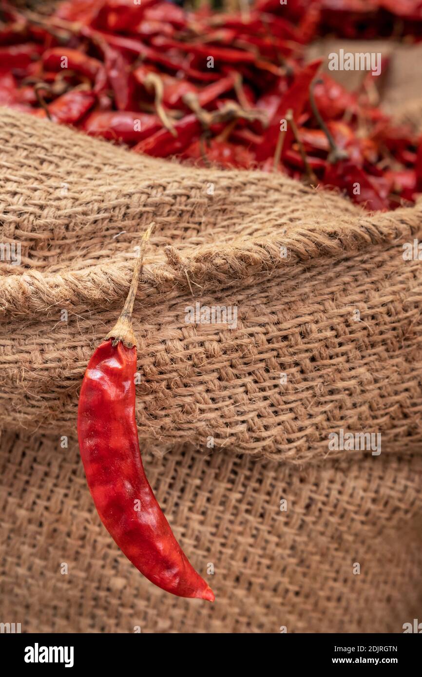 Indian dried red chillies hi-res stock photography and images - Alamy