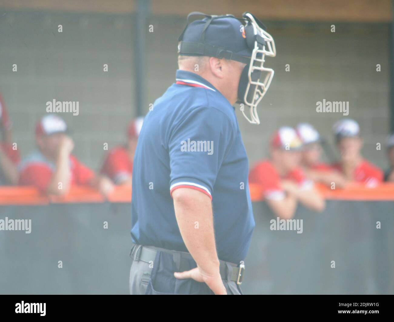 Umpire baseball hi-res stock photography and images - Alamy