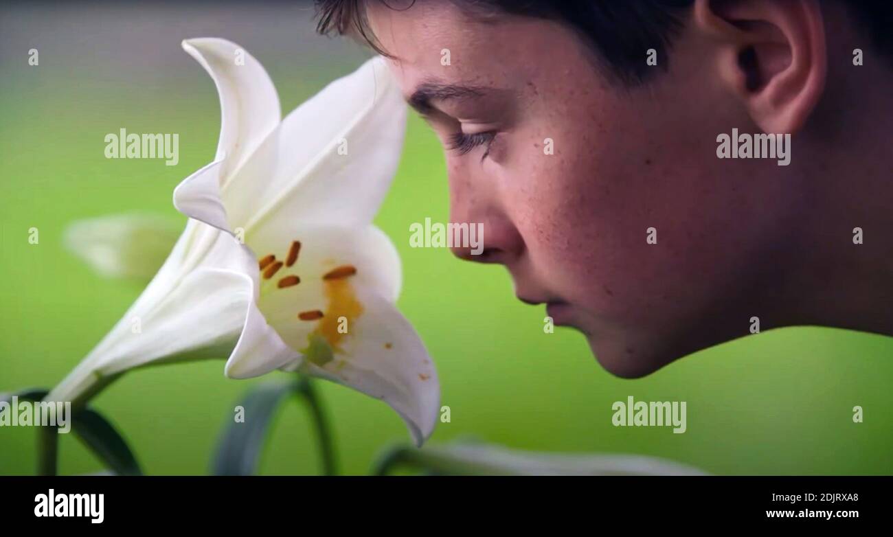 WILD MOUNTAIN THYME, Darragh O'Kane, 2020. © Bleecker Street Media ...