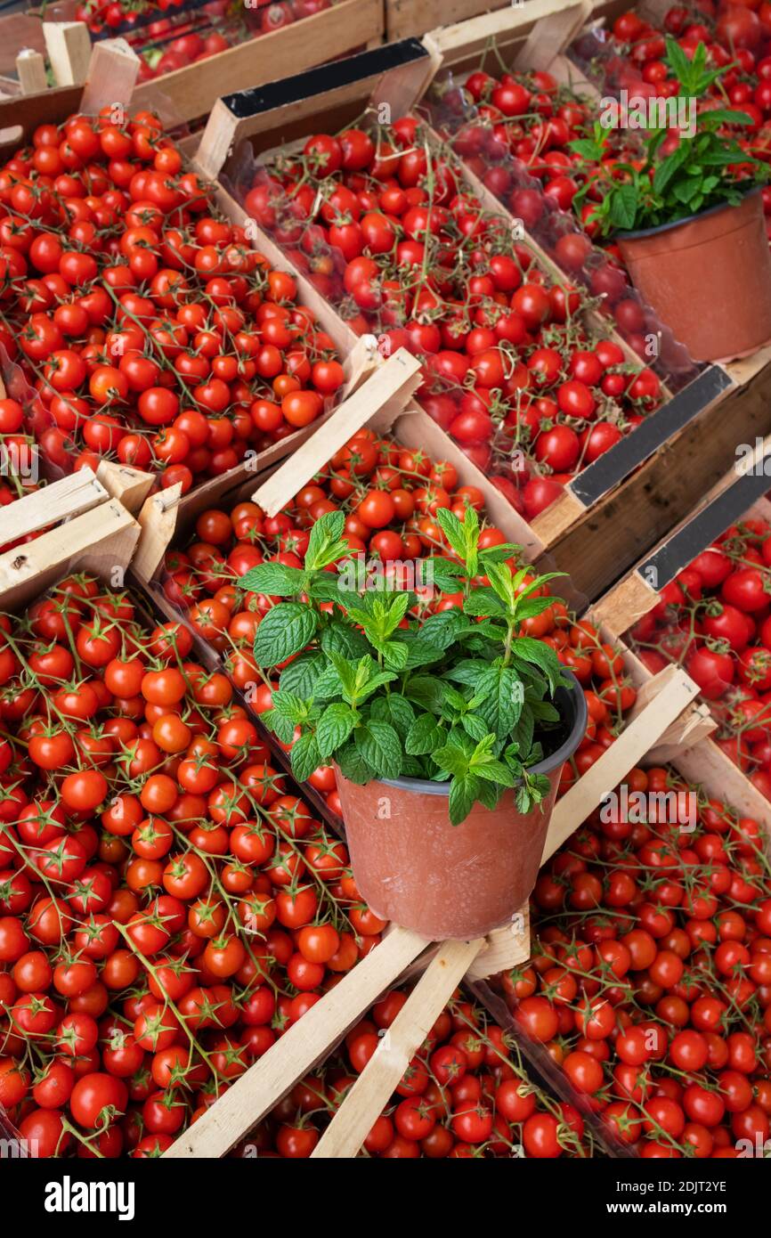 Farmer market italy hi-res stock photography and images - Alamy