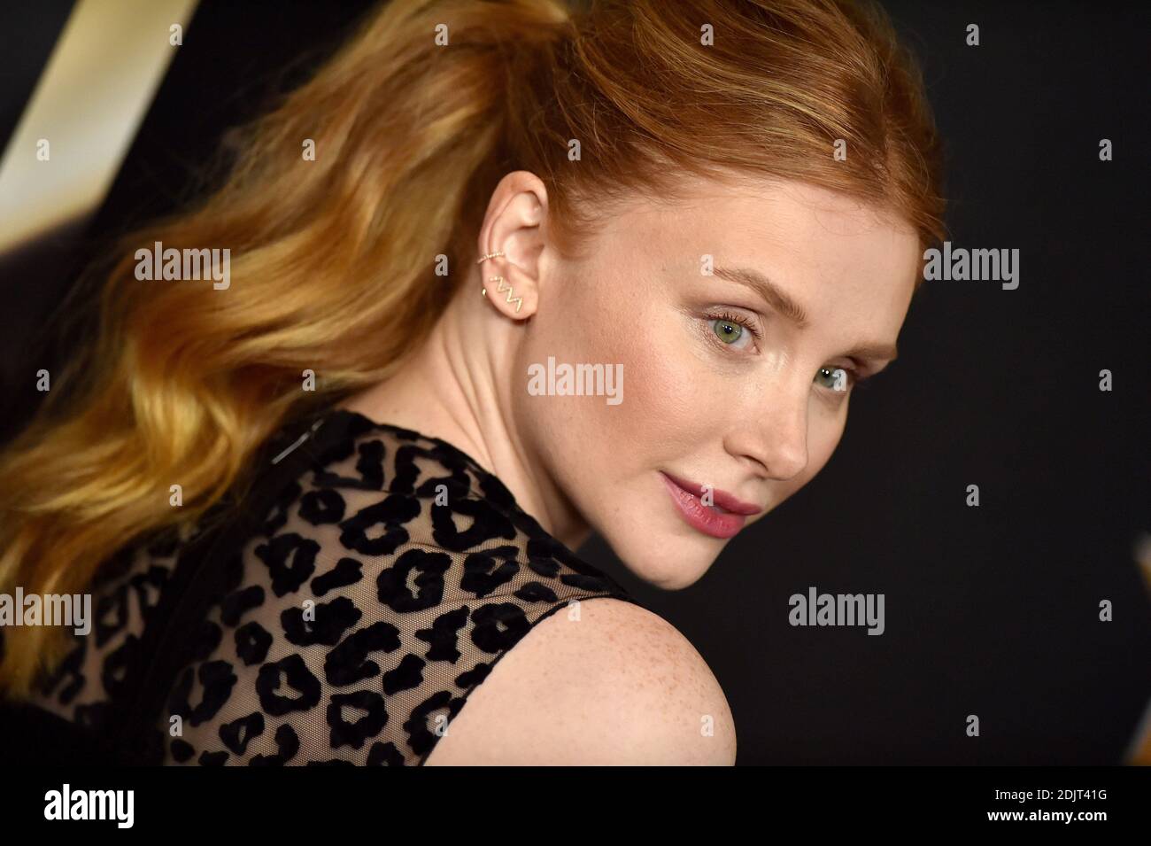 Bryce Dallas Howard attends the 20th Annual Hollywood Film Awards on ...