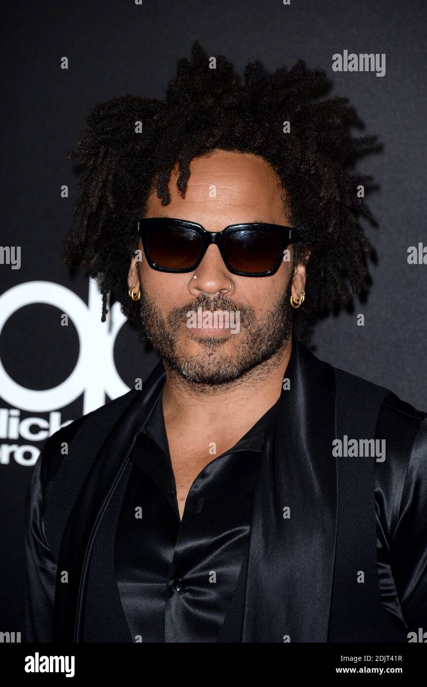 Lenny Kravitz attends the 20th Annual Hollywood Film Awards on November ...