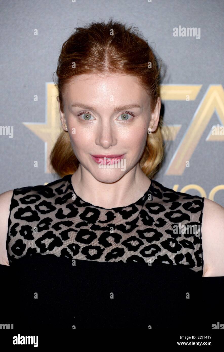 Bryce Dallas Howard attends the 20th Annual Hollywood Film Awards on ...