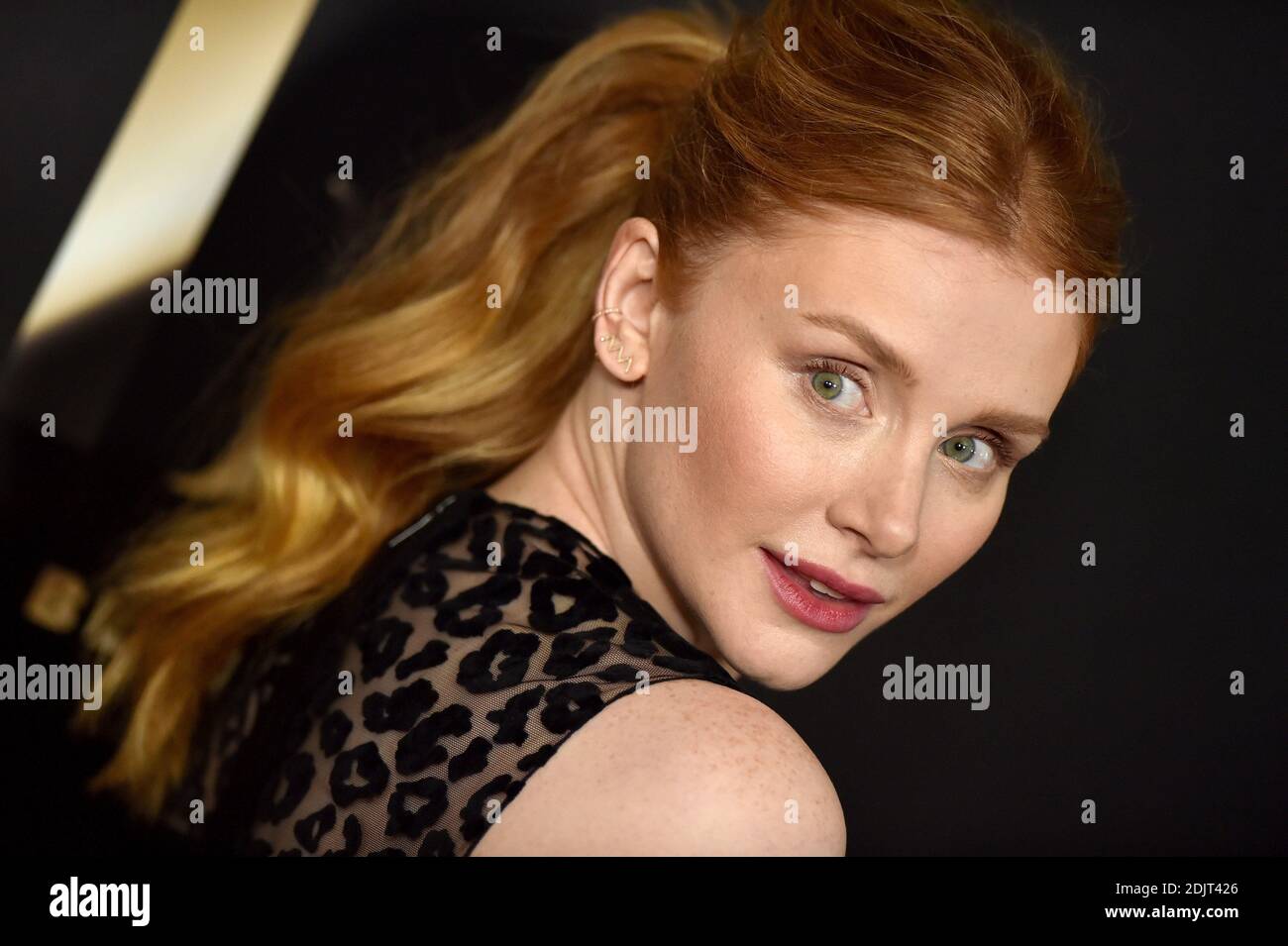 Bryce Dallas Howard attends the 20th Annual Hollywood Film Awards on ...