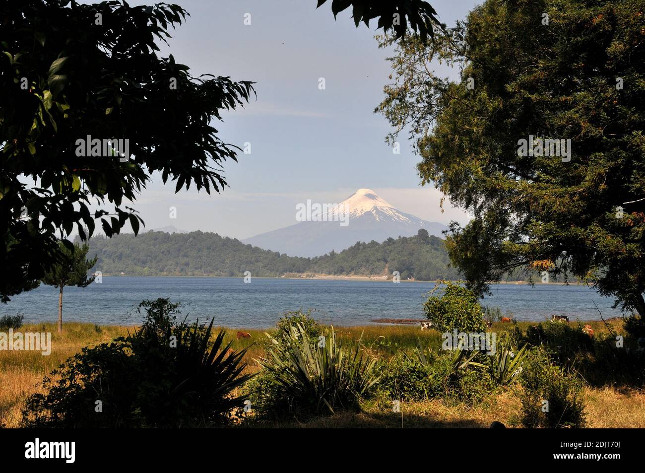 South America, Chile, X Region, Puerto Octay, Lake Llanquihue with a ...