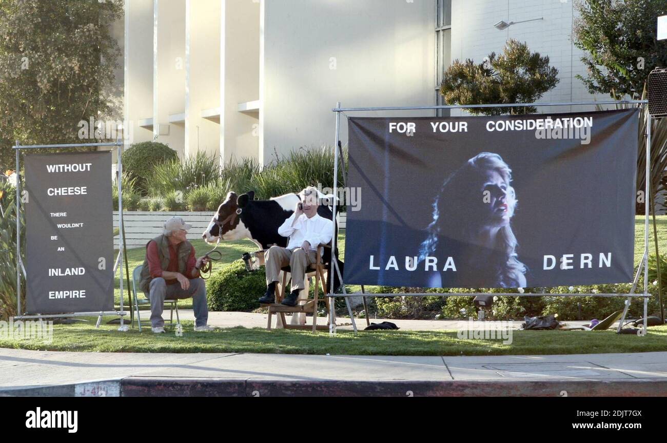 Laura Dern Inland Empire