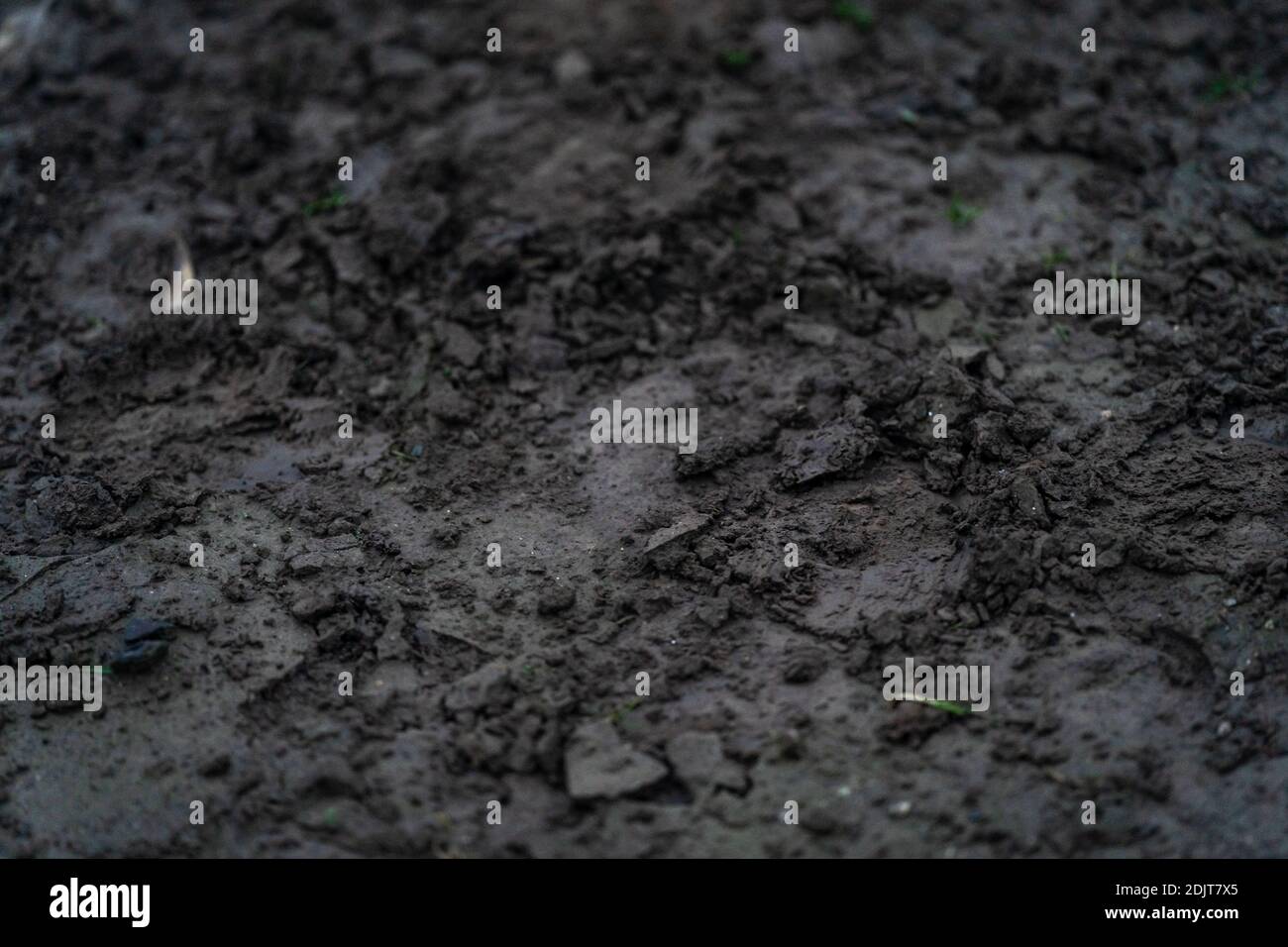 mud on the road after the rain Stock Photo - Alamy