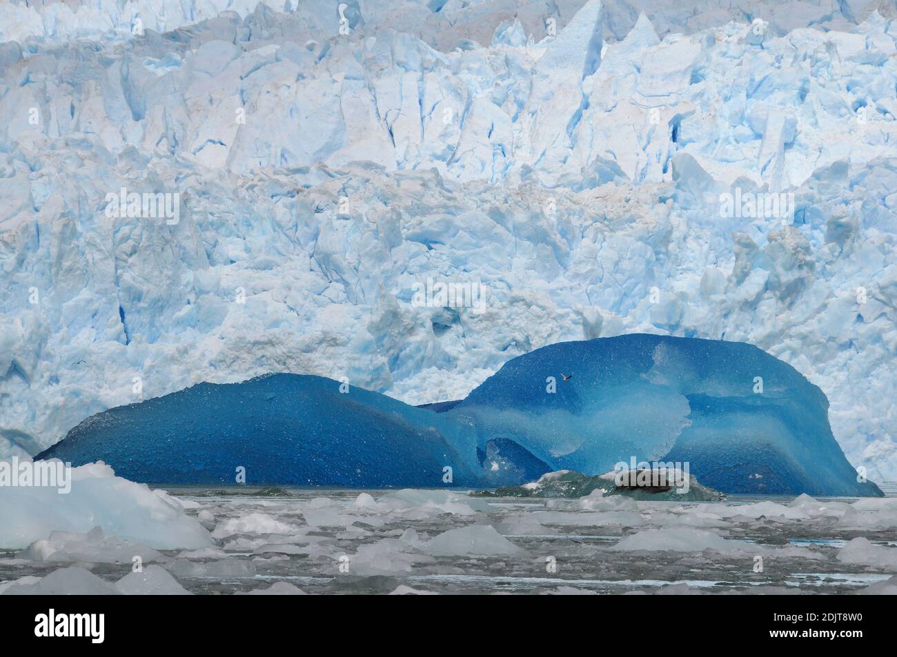 South America, Chile, Xl Region, glacier in the Laguna San Rafael ...