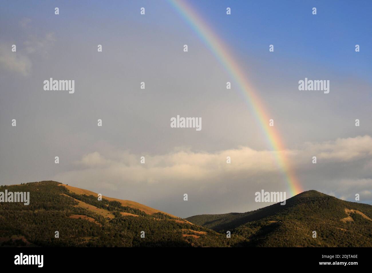 South America, Chile, Xll Region, Patagonia, Torres del Paine National ...
