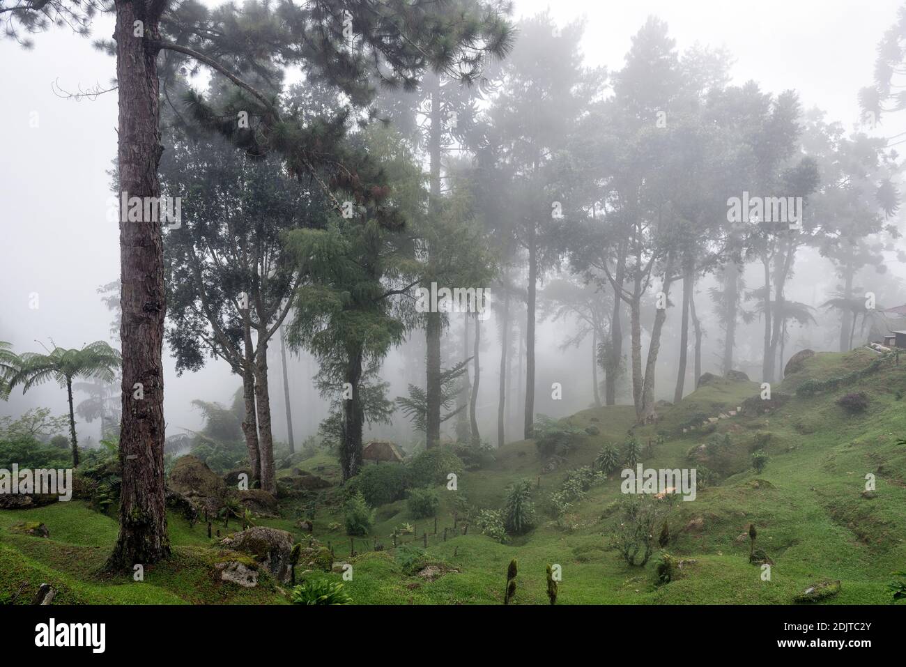 Maxwell in malaysia hi-res stock photography and images - Alamy