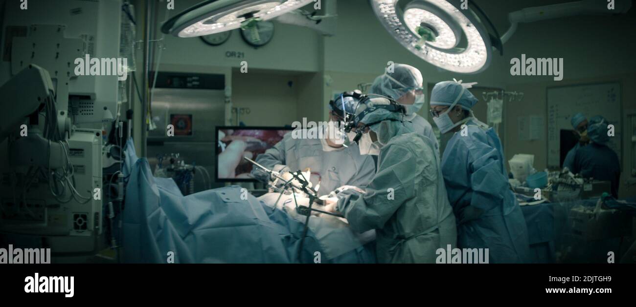 THE SURGEON'S CUT, Dr. Nancy Ascher performing surgery, Living Donor ...