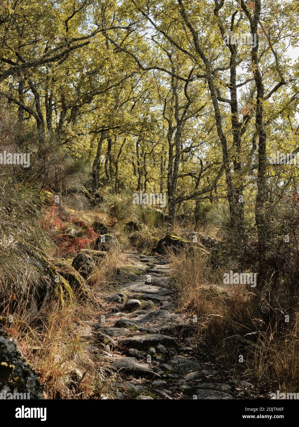 Hiking trail in portuguese hi-res stock photography and images - Alamy