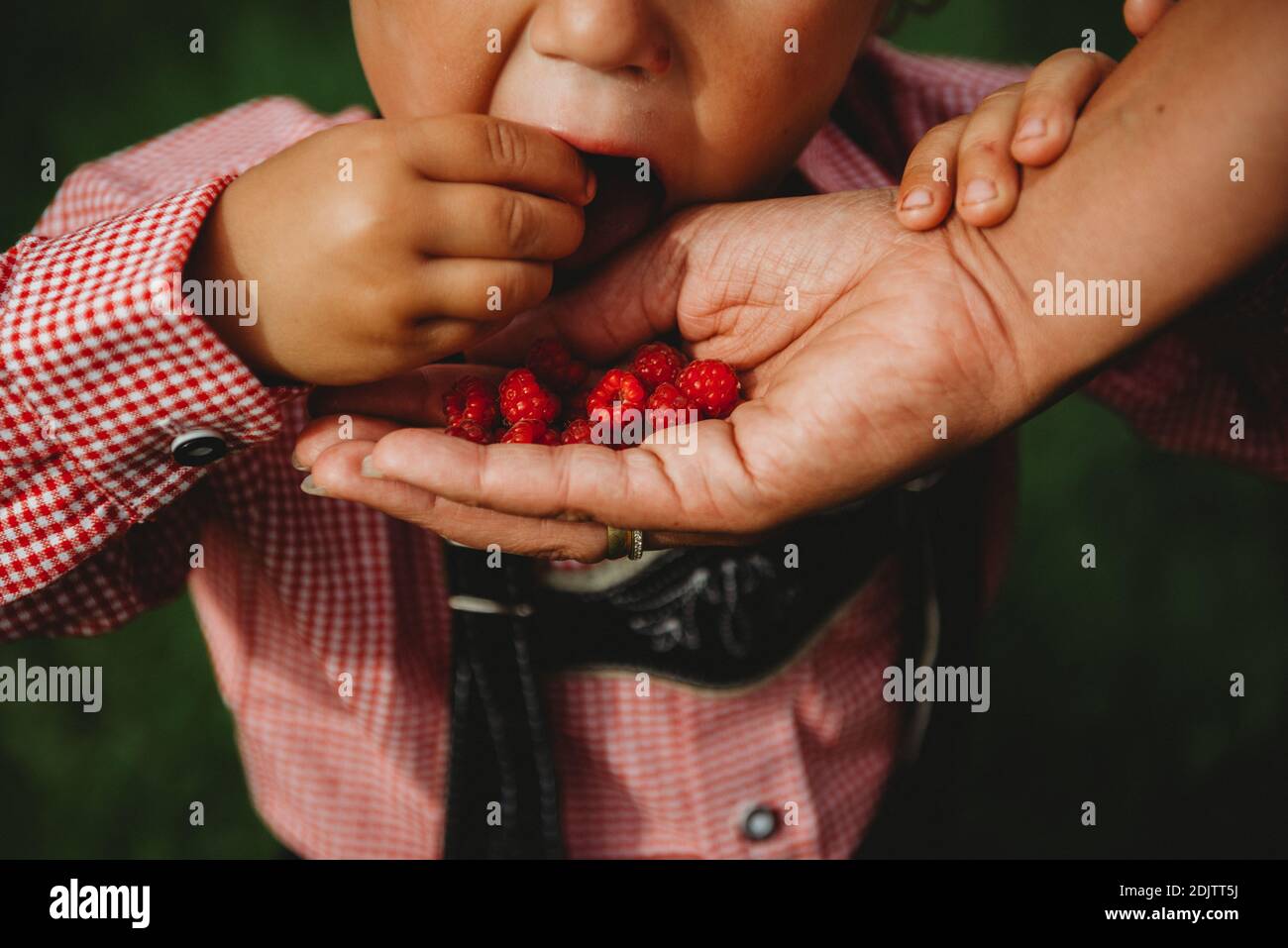 Children hand nature berries hi-res stock photography and images - Alamy