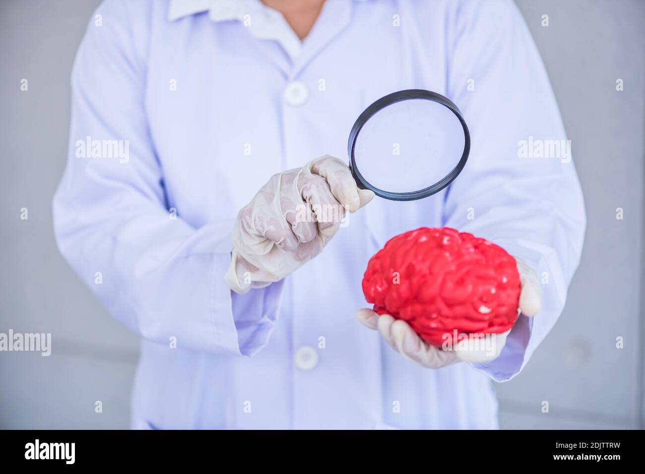 Real human brain laboratory hi-res stock photography and images - Alamy