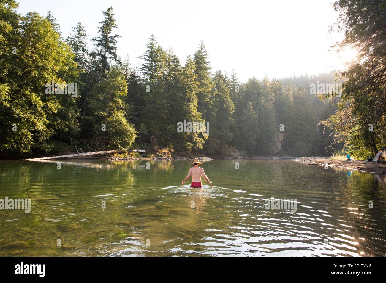 A young man wades into the Ohanapecosh River in Washington Stock Photo ...