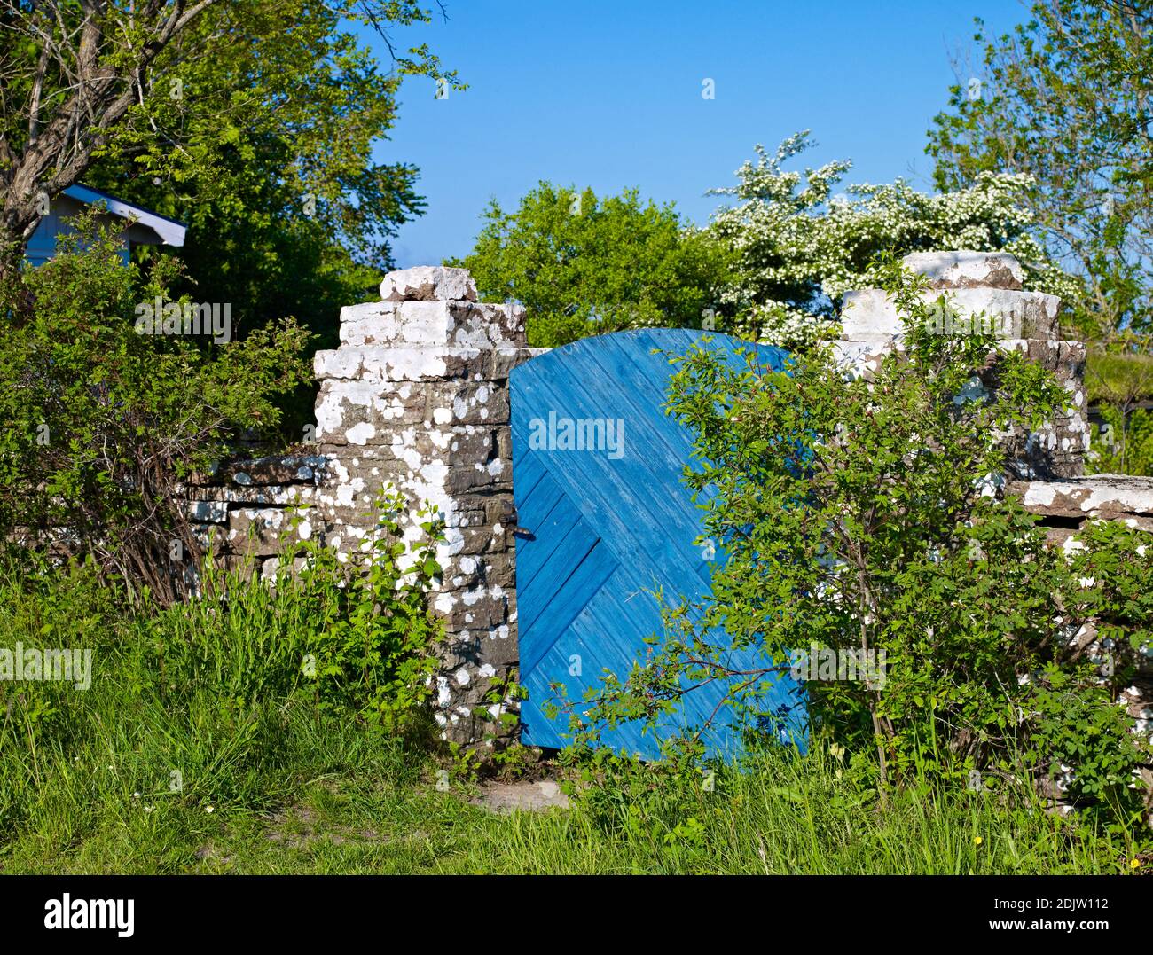 Europe, Sweden, Smaland, Öland Island, natural stone wall with blue ...