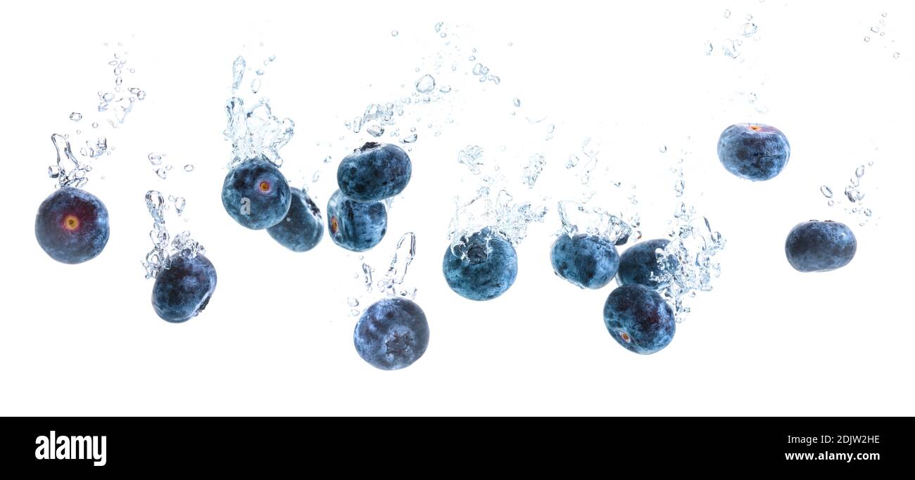 Panorama of Blueberries sinking underwater with air bubbles isolated on ...