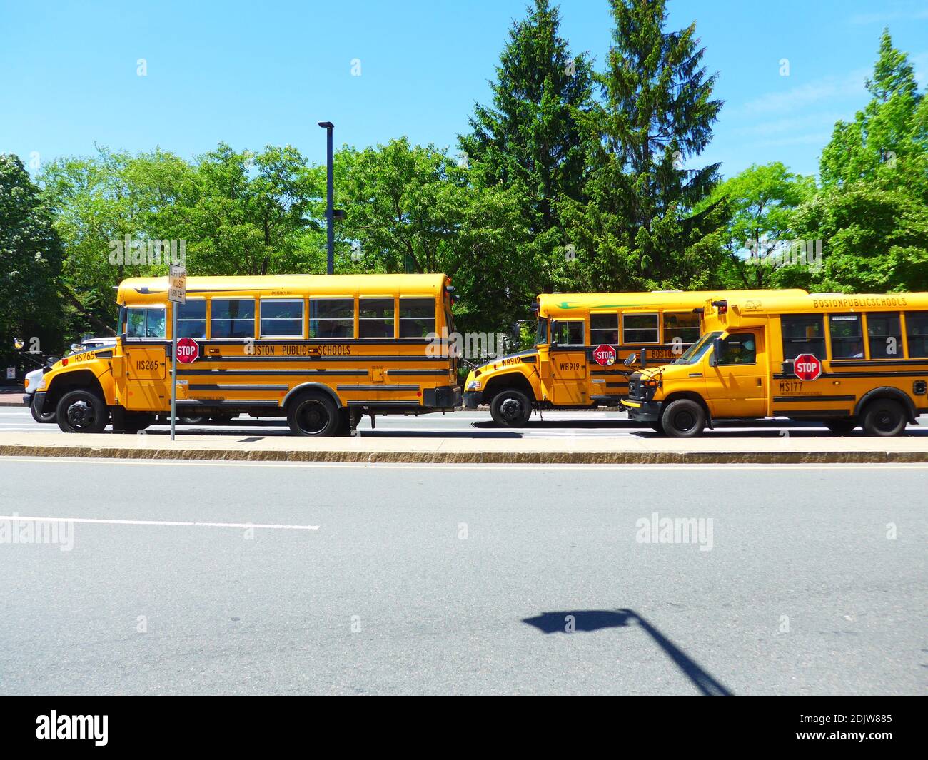 School buses on the road hi-res stock photography and images - Alamy