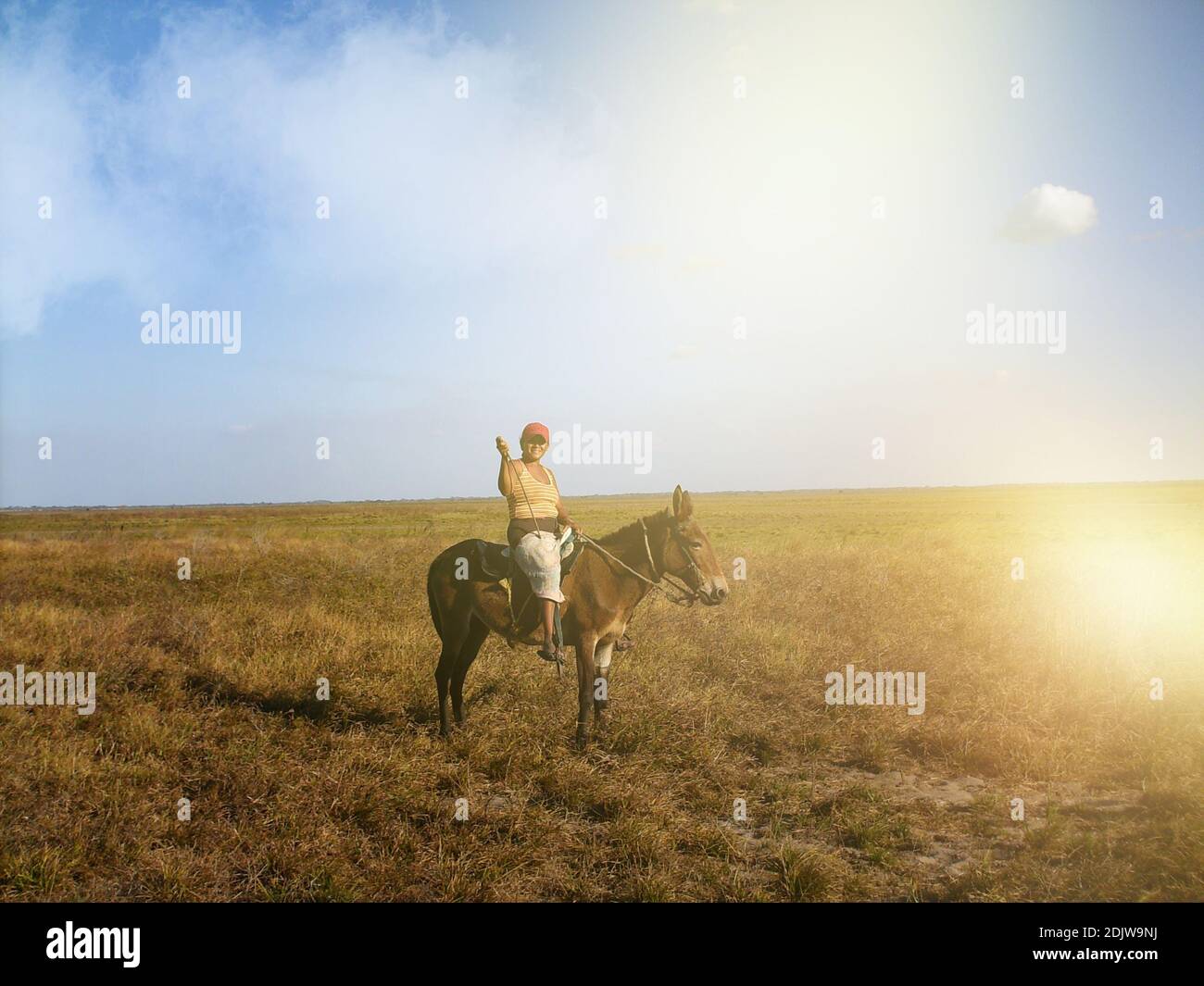 Woman riding donkey hi-res stock photography and images - Alamy