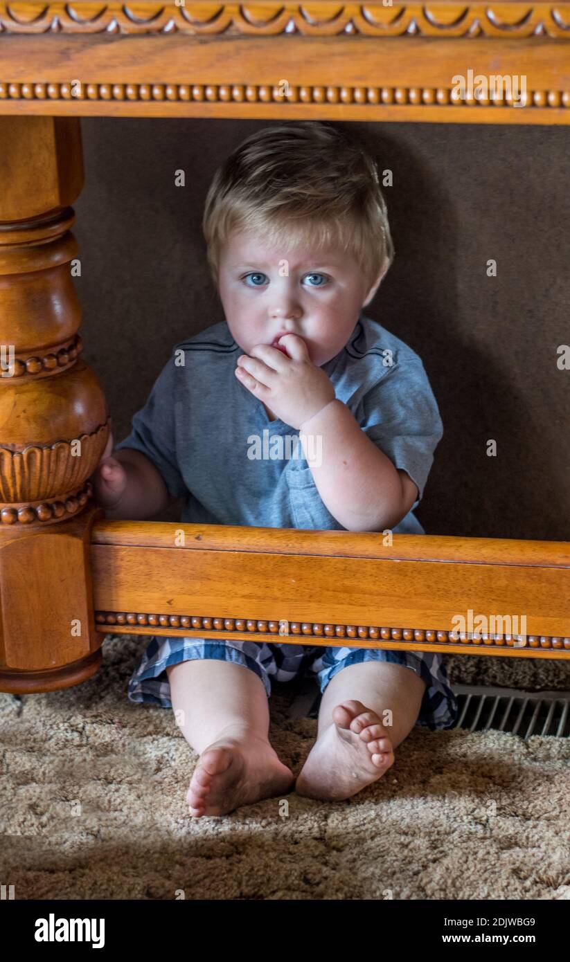 Baby looking under table hi-res stock photography and images - Alamy