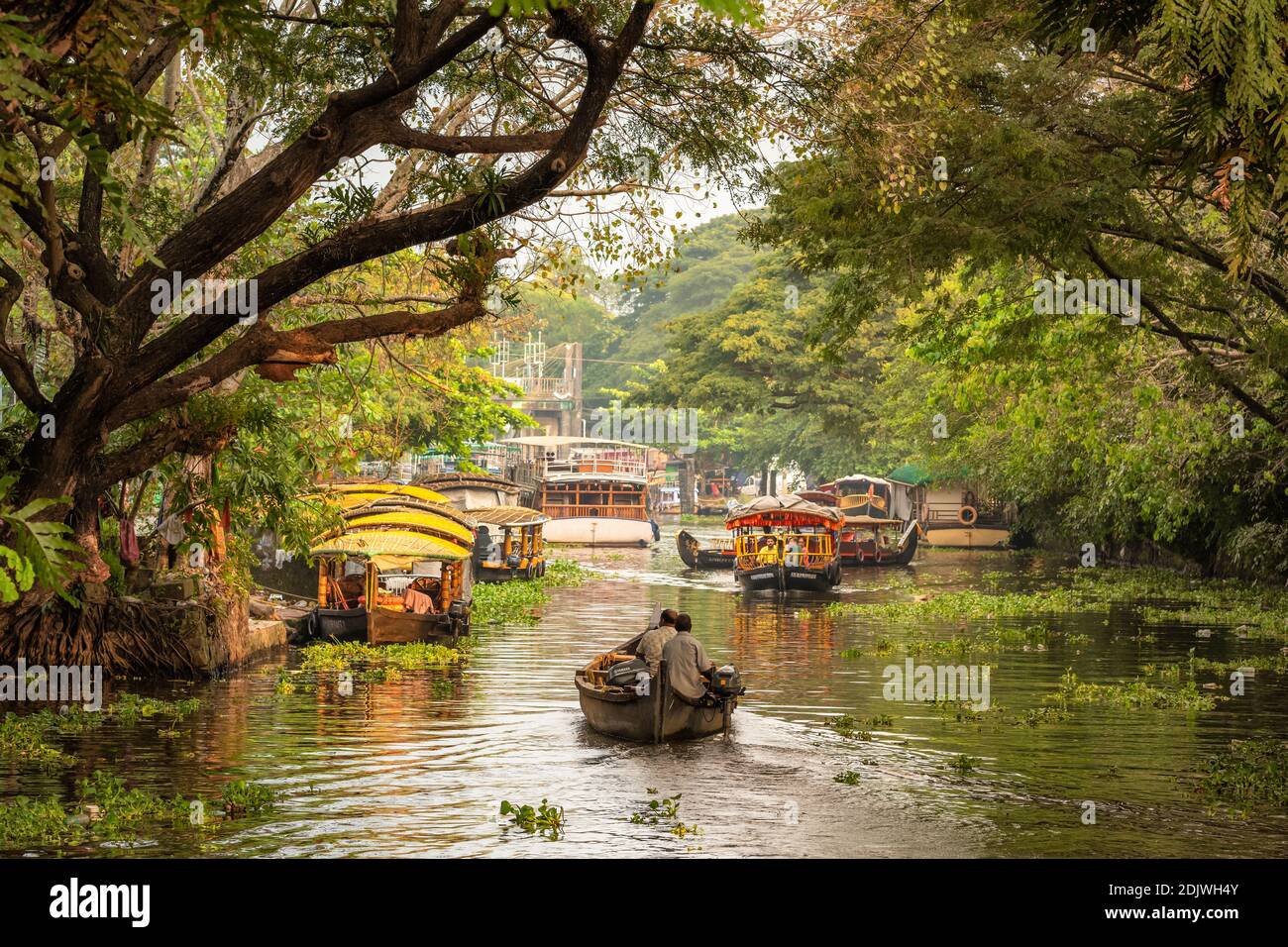 Beautiful backwaters landscape in Alleppey city with traditional ...