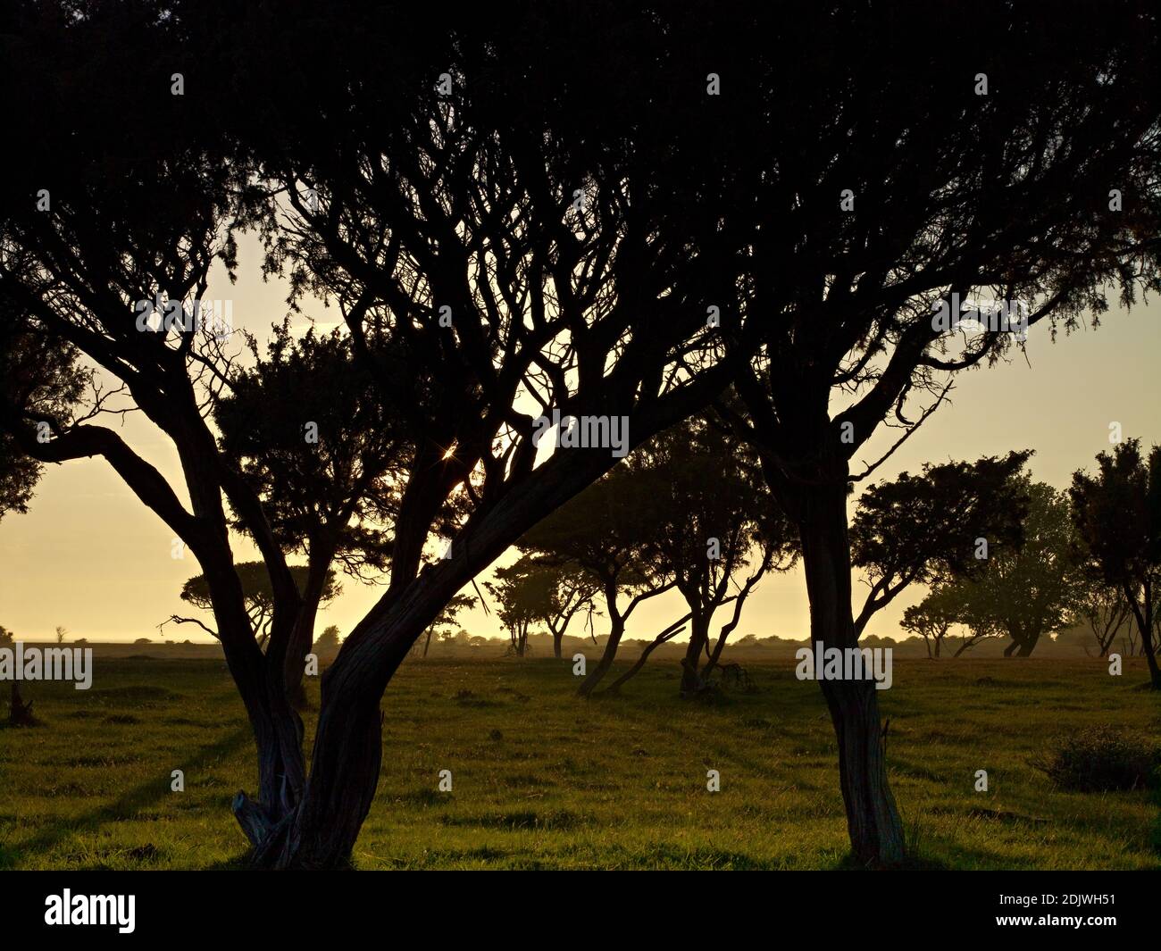 Ottenby nature reserve hi-res stock photography and images - Alamy