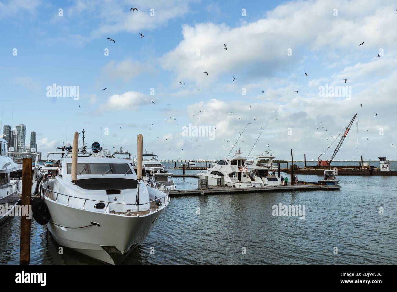 Beautiful marina view boats hi-res stock photography and images - Alamy