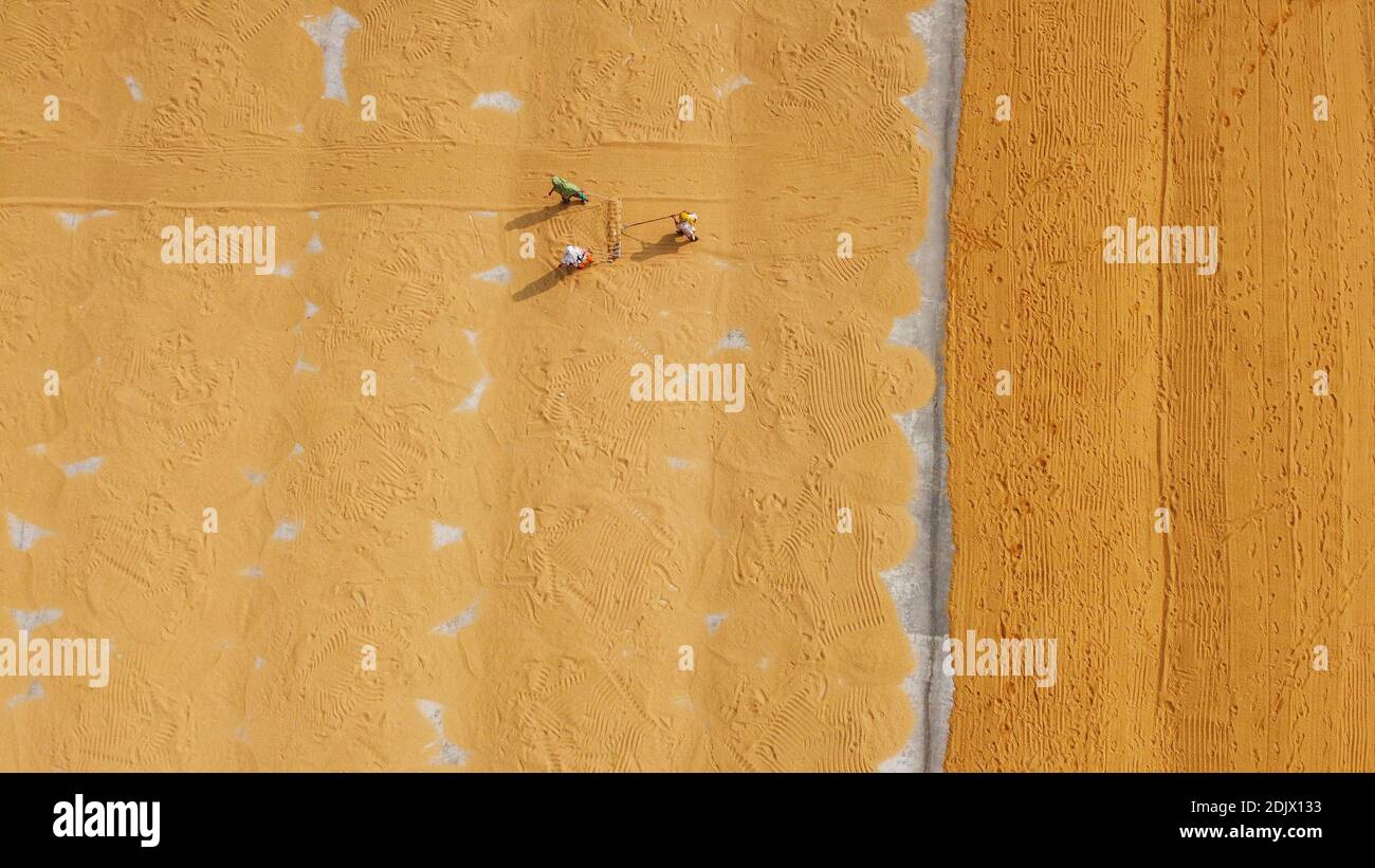 Bangladeshi field hi-res stock photography and images - Alamy