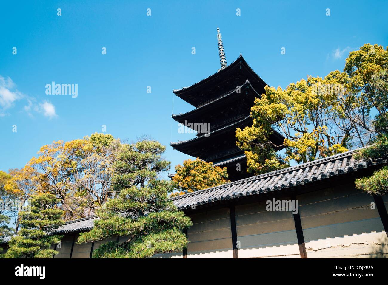 Toji temple in Kyoto, Japan Stock Photo - Alamy