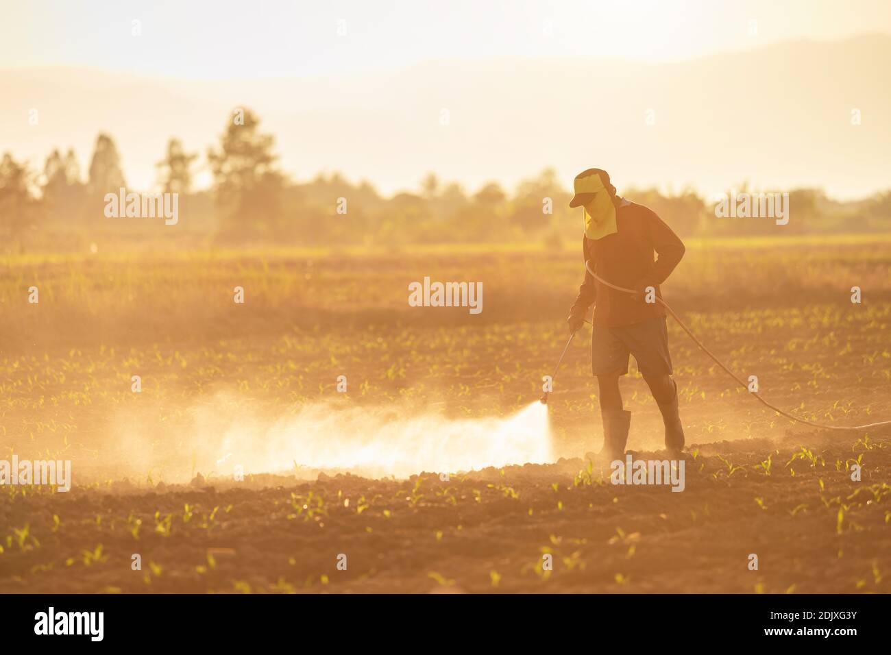 Man Spraying Pesticides High Resolution Stock Photography and Images ...