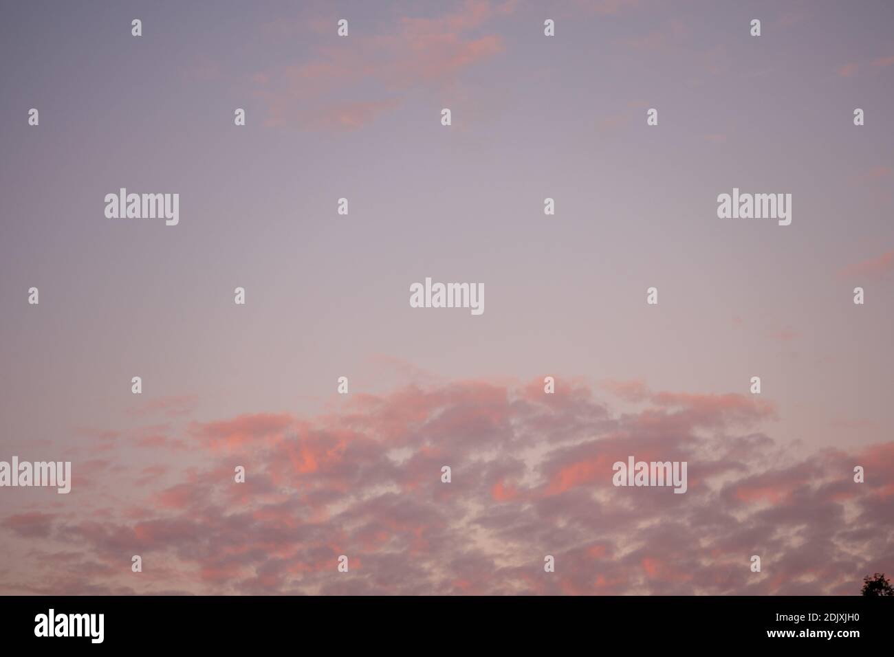 A Blue Sky With Pink Clouds at the Bottom of the Frame Stock Photo - Alamy