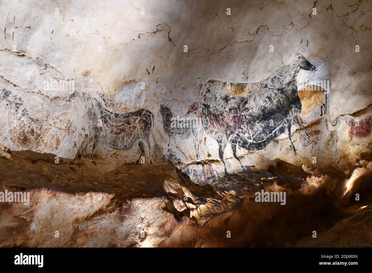 An inside view of the new museum Lascaux 4 on December 10, 2016, in ...