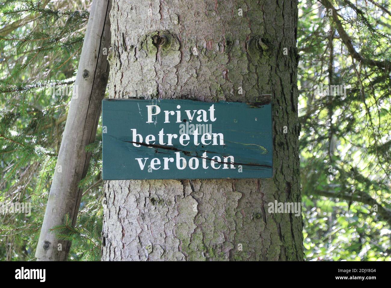 Sign on the tree, private entry prohibited Stock Photo - Alamy