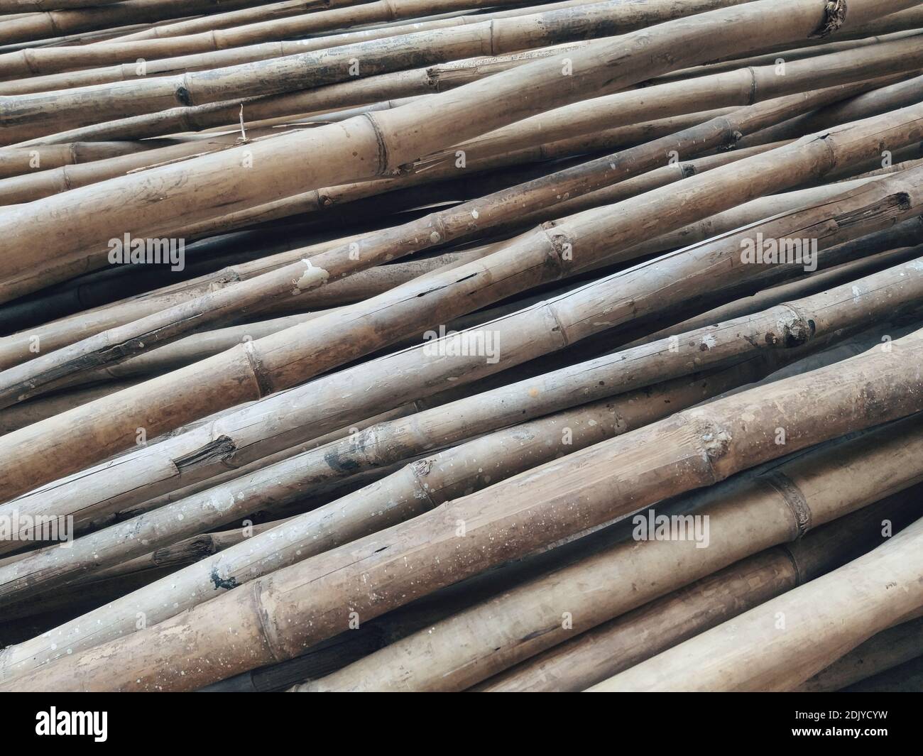Bamboo damage hi-res stock photography and images - Alamy
